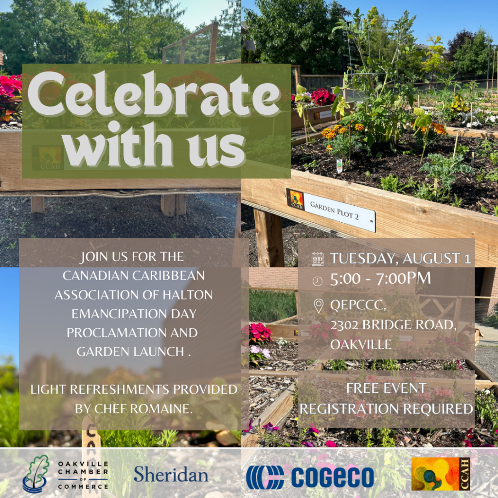 Programs - CCAH - Canadian Caribbean Association of Halton